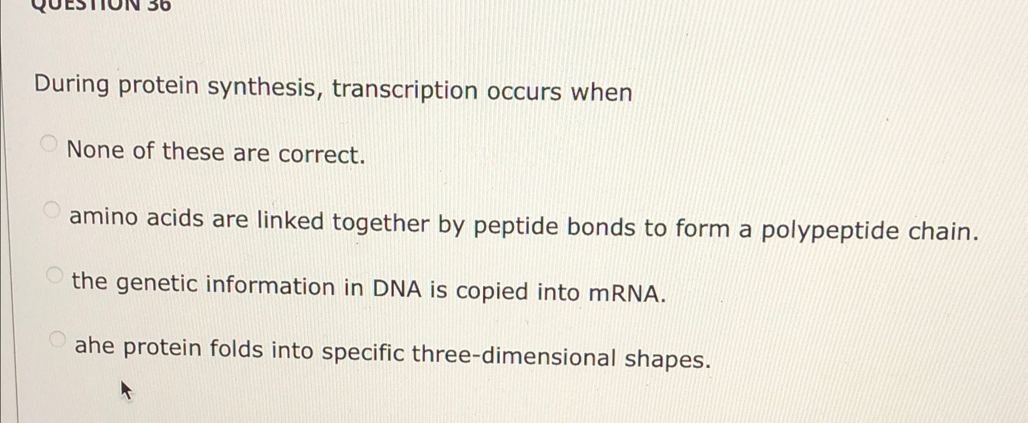 Solved During protein synthesis, transcription occurs | Chegg.com
