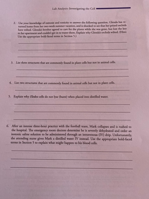 Solved Lab Analysis: Investigating the Cell 2. Use your | Chegg.com
