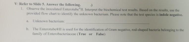 Solved V: Refer to Slide 5. Answer the following. 1. Observe | Chegg.com