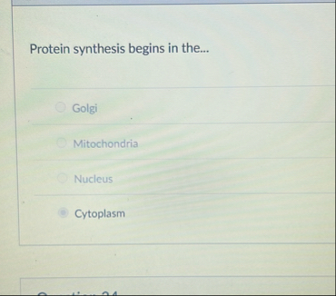 Solved Protein synthesis begins in | Chegg.com