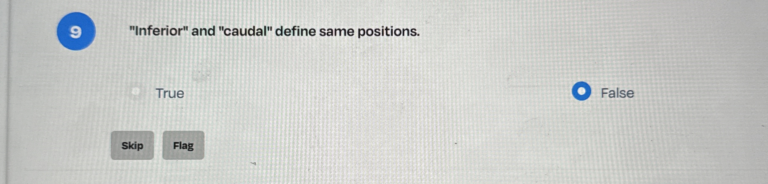Solved "Inferior" and "caudal" define same | Chegg.com