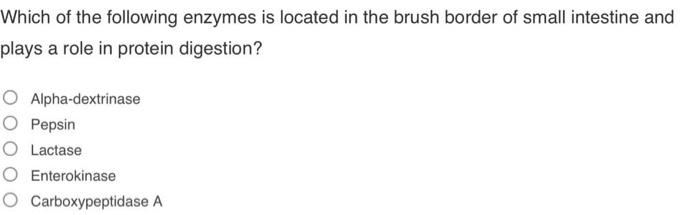 Solved Which of the following enzymes is located in the | Chegg.com