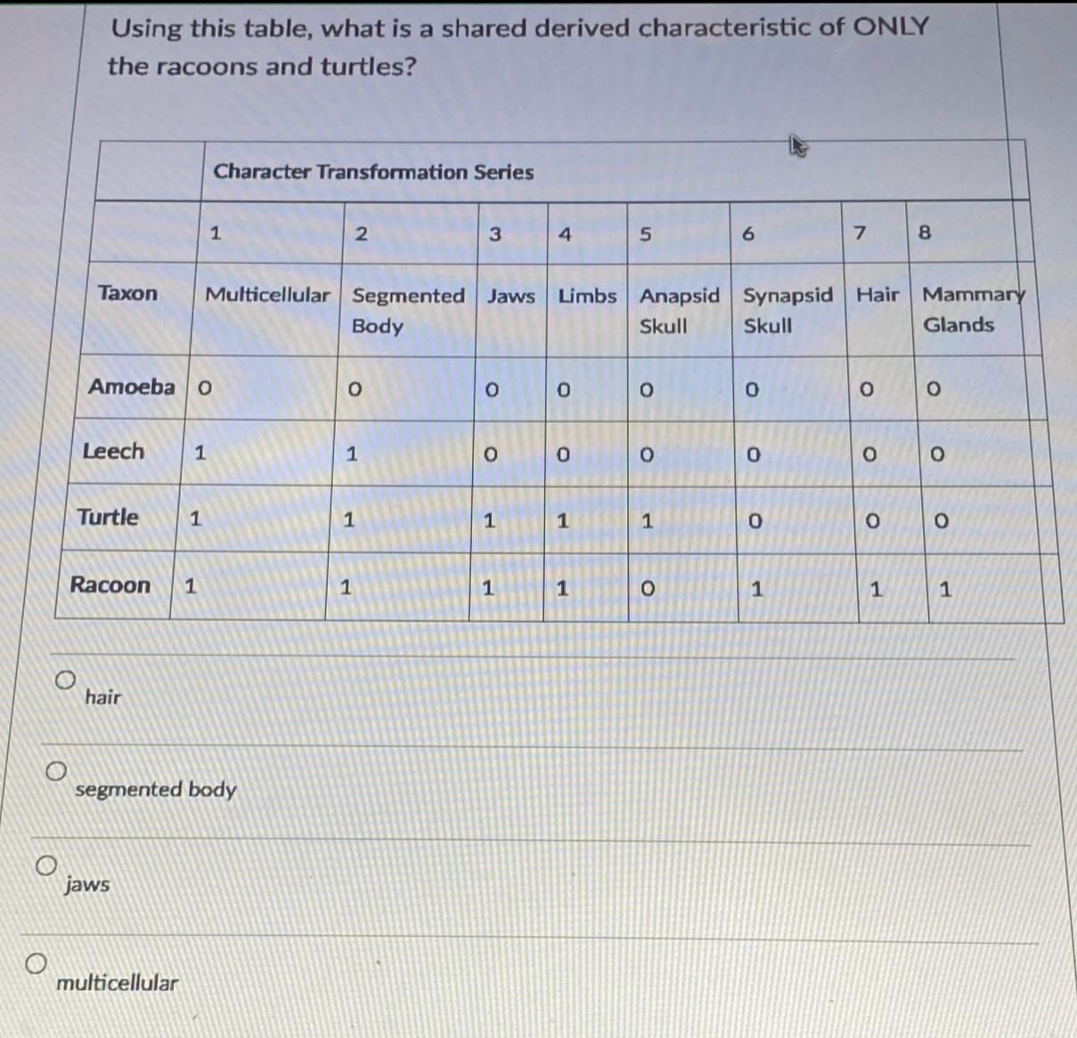 Solved Using this table, what is a shared derived | Chegg.com