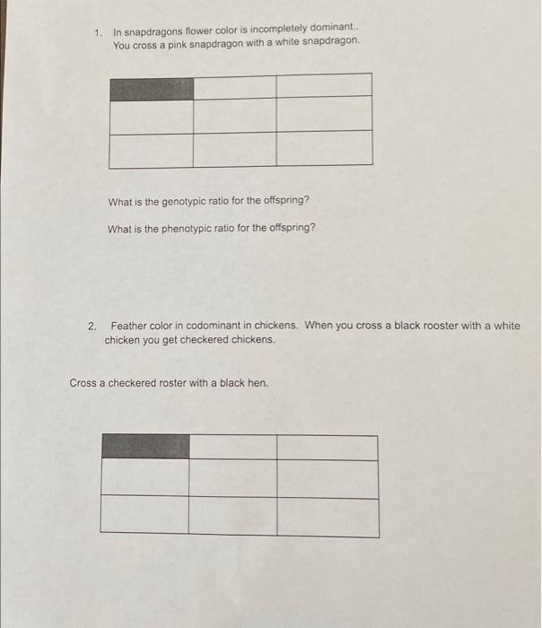 Solved 1. In snapdragons flower color is incompletely | Chegg.com