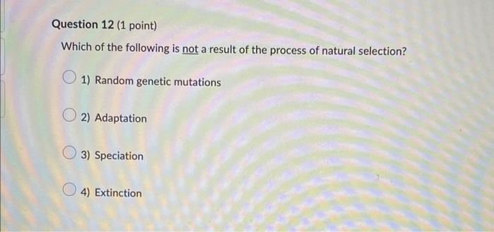 Which of the following is not a result of the process | Chegg.com