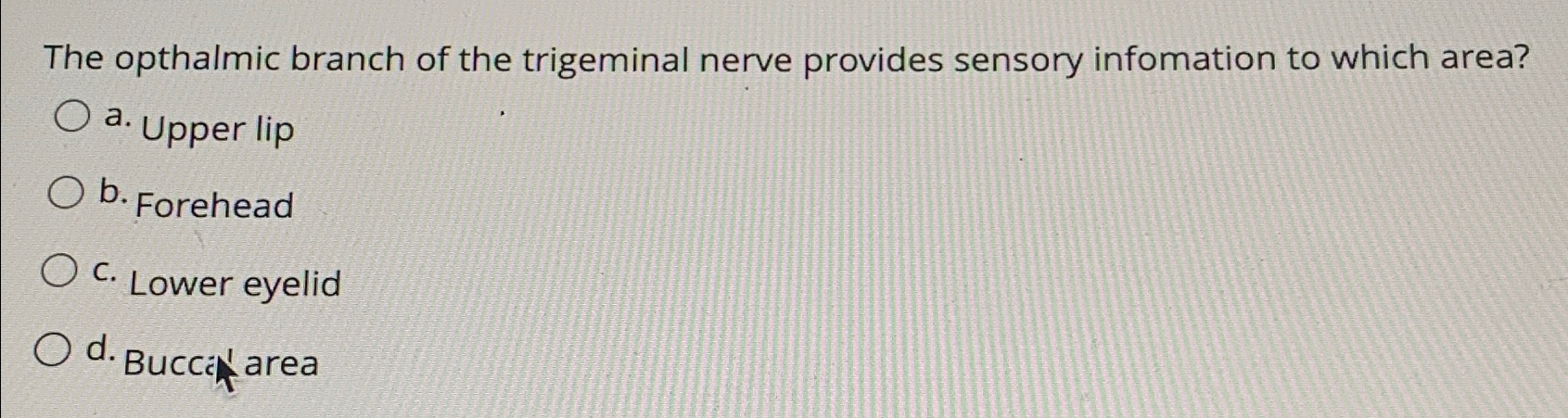 Solved The opthalmic branch of the trigeminal nerve provides | Chegg.com