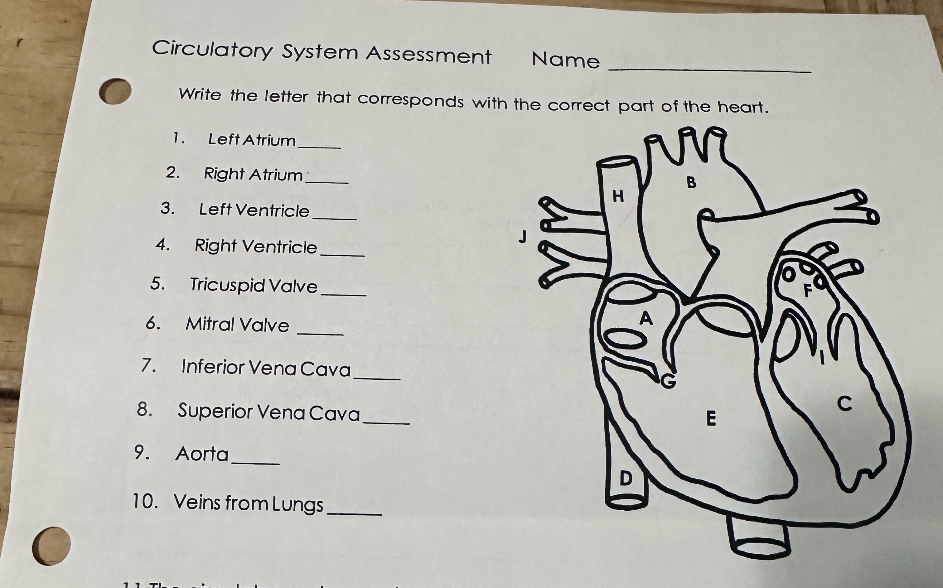 Solved Circulatory System AssessmentNameWrite the letter | Chegg.com