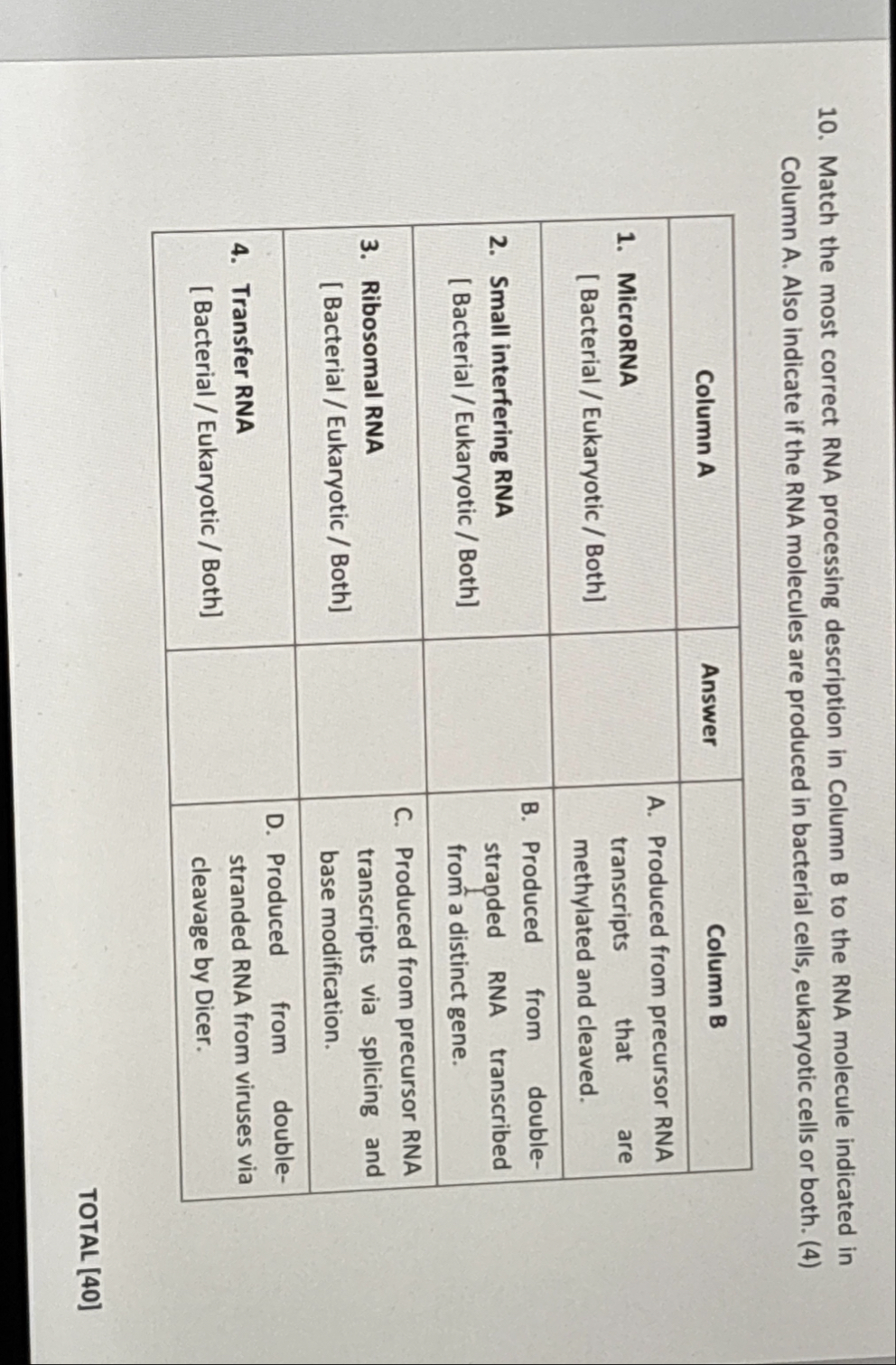 Solved Match the most correct RNA processing description in | Chegg.com
