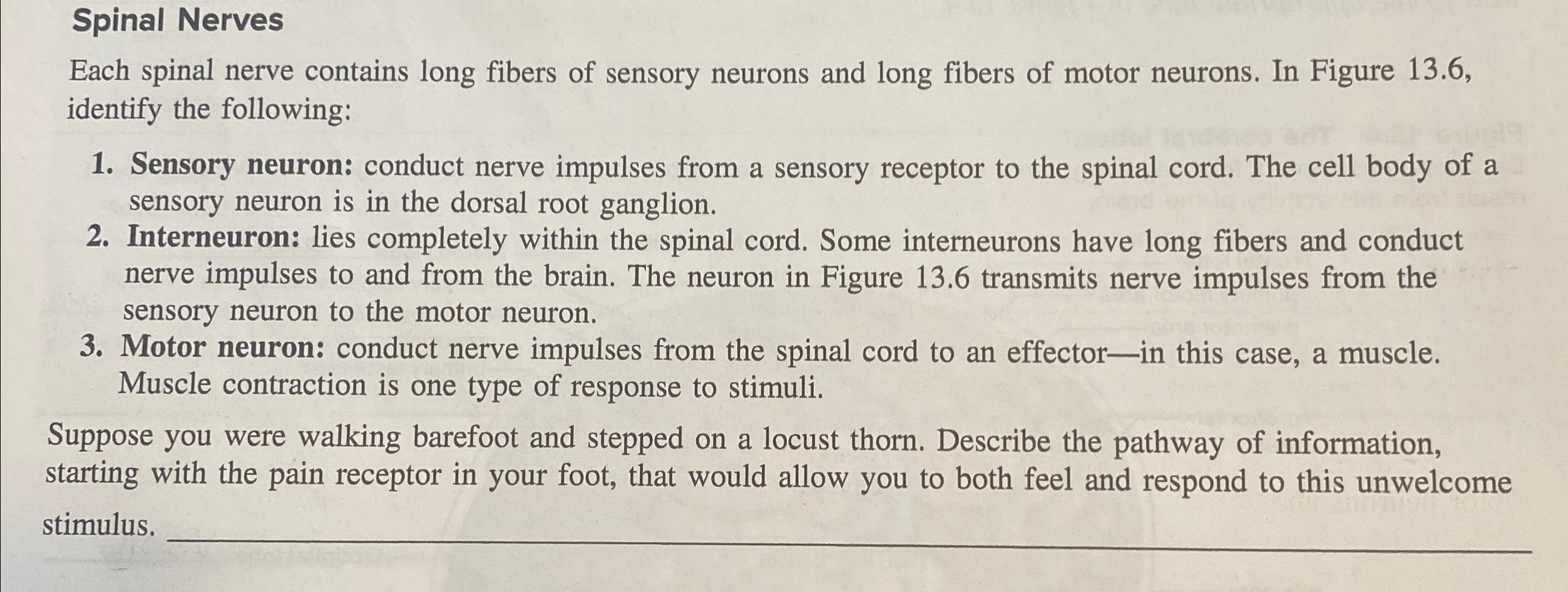 Solved Spinal NervesEach spinal nerve contains long fibers | Chegg.com