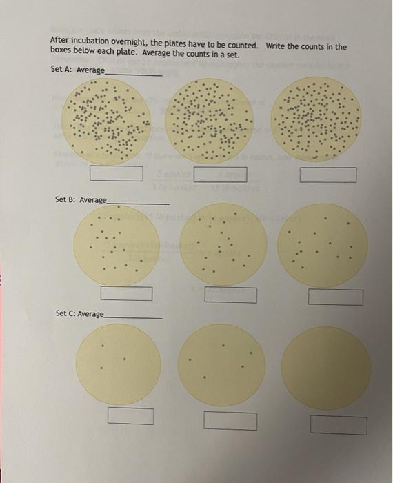 Solved Part I: Calibrating CFU/ml with Optical Density at | Chegg.com