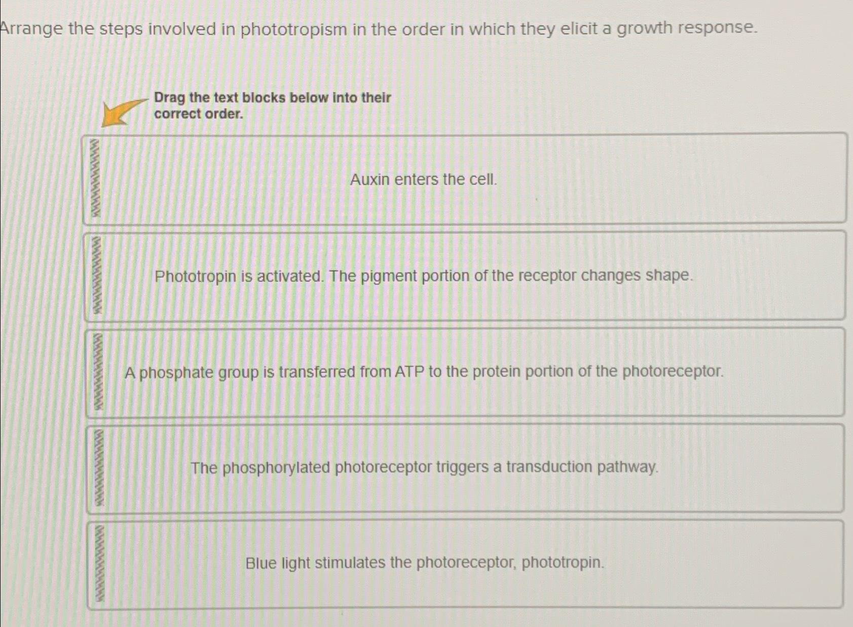 Solved Arrange the steps involved in phototropism in the | Chegg.com