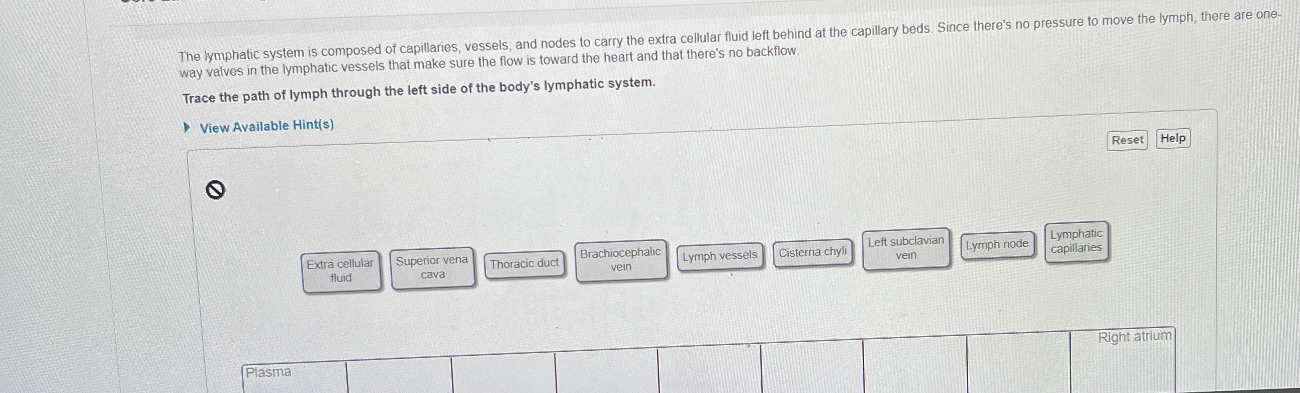 Solved way valves in the lymphatic vessels that make sure | Chegg.com