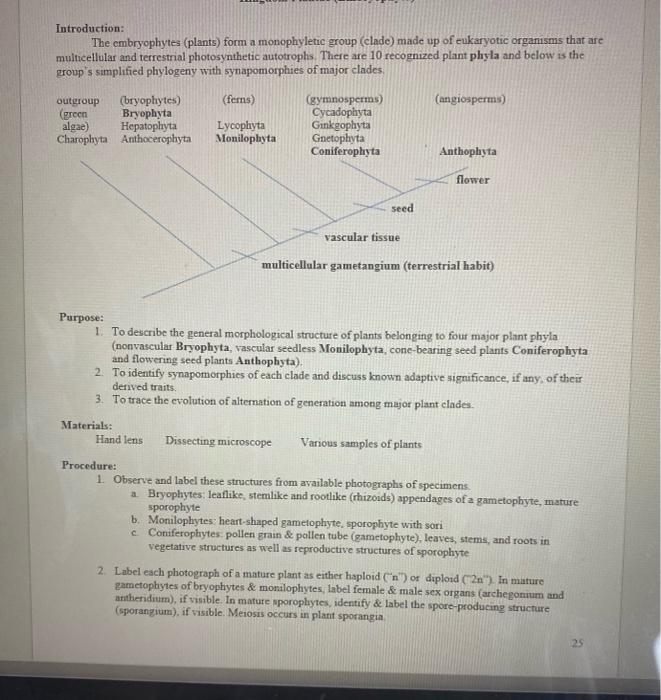 Solved Introduction: The embryophytes (plants) form a | Chegg.com