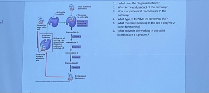 Solved பான் Adi 1 What does the diagram illustrate? 2. What | Chegg.com