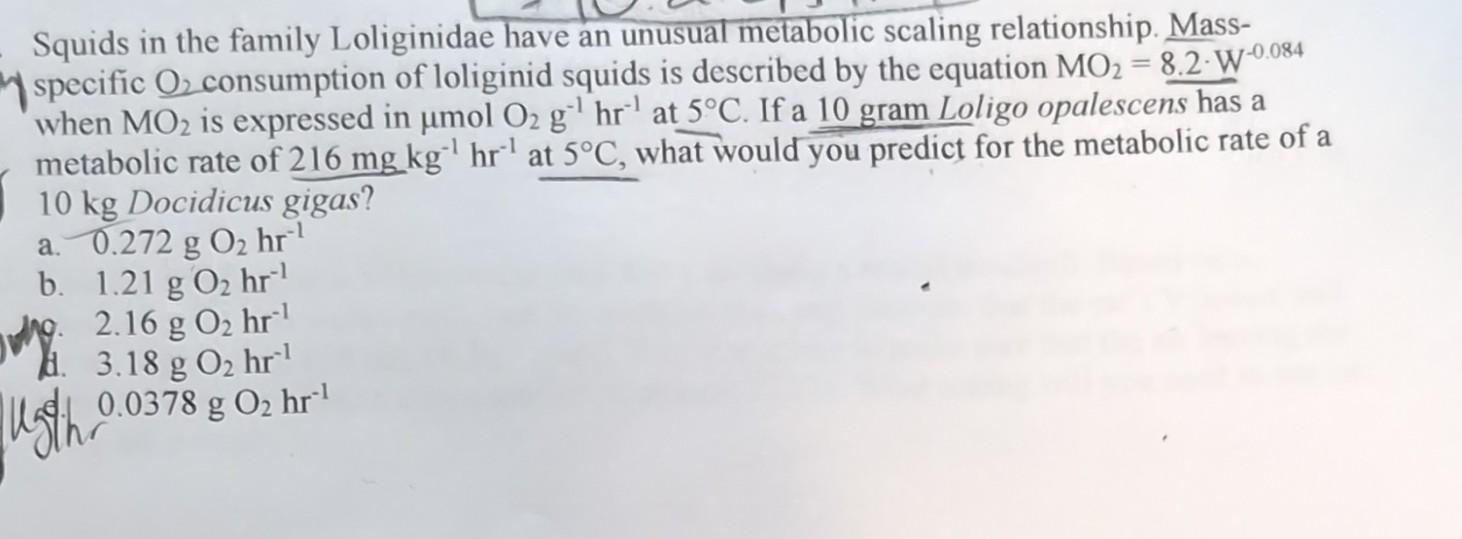 Solved Squids in the family Loliginidae have an unusual | Chegg.com