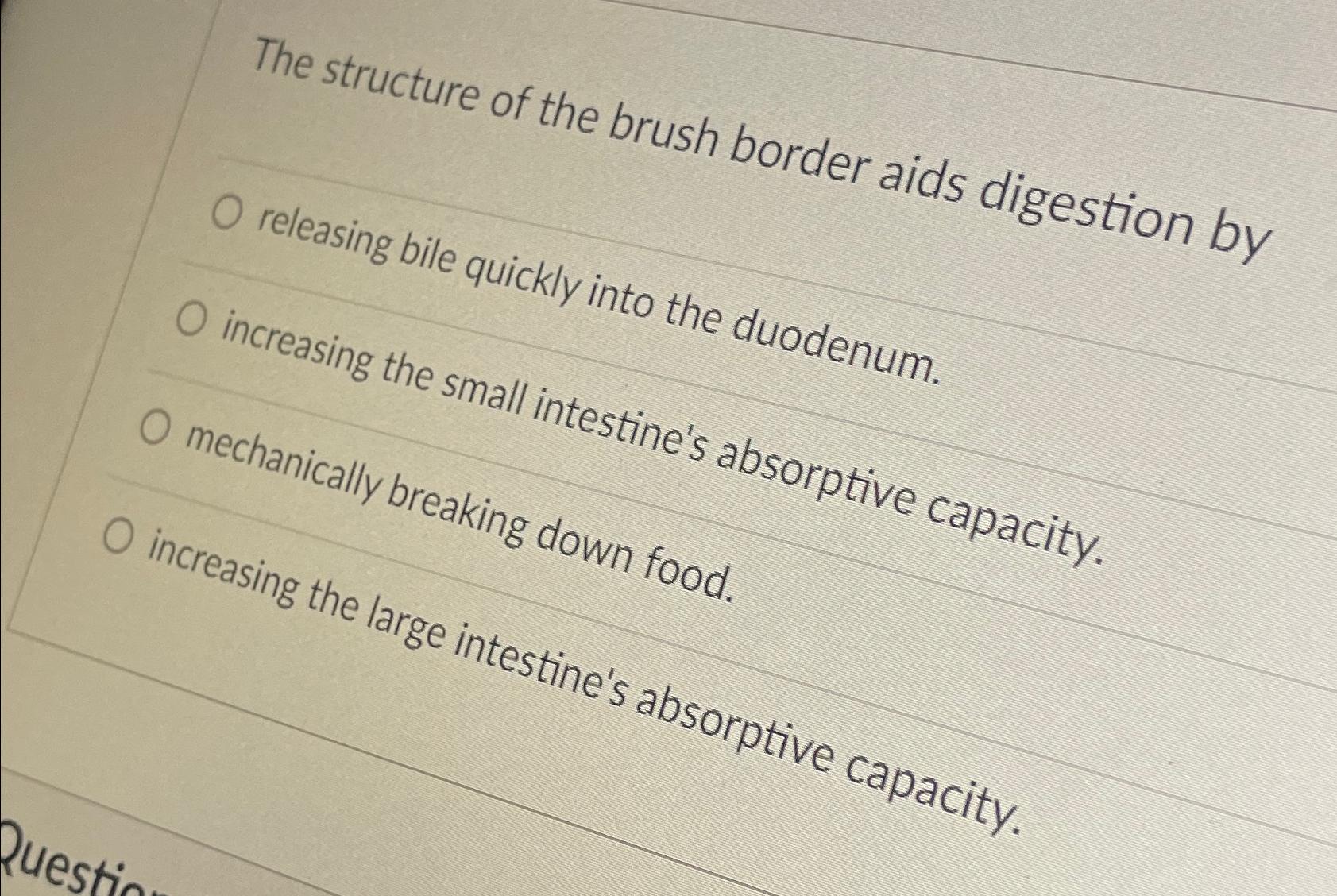 Solved The structure of the brush border aids digestion | Chegg.com