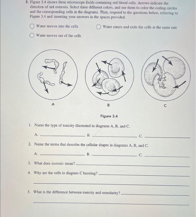 5. Figure 3.4 shows three microscope fields | Chegg.com