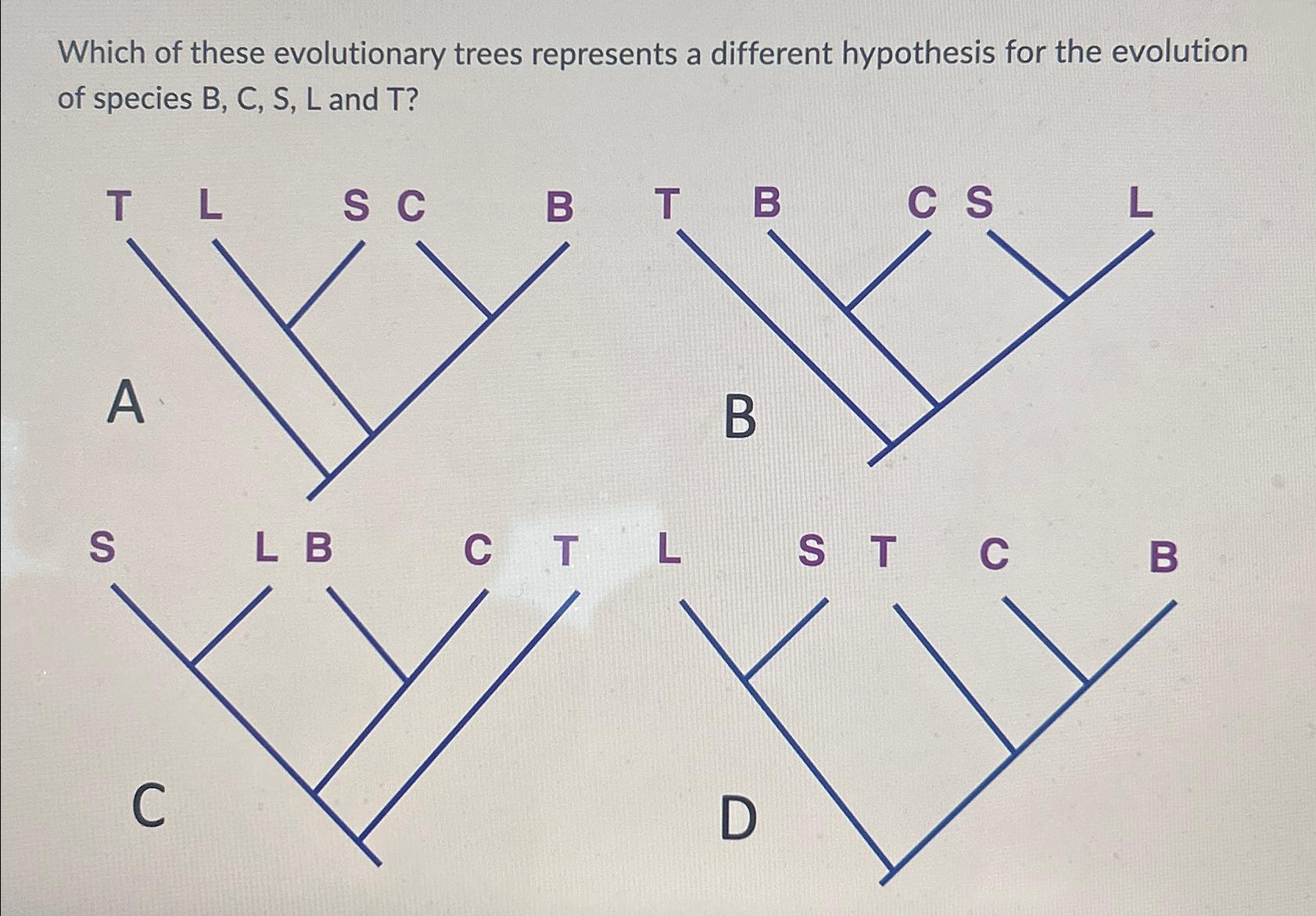 Solved Which of these evolutionary trees represents a | Chegg.com