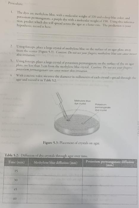 Solved Exercise 4: Rate of Diffusion of Dye through Agar Gel | Chegg.com