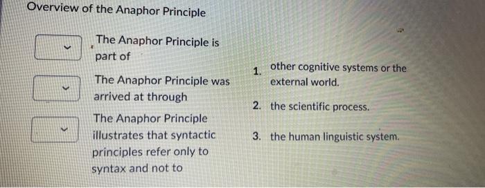Overview of the Anaphor Principle The Anaphor | Chegg.com