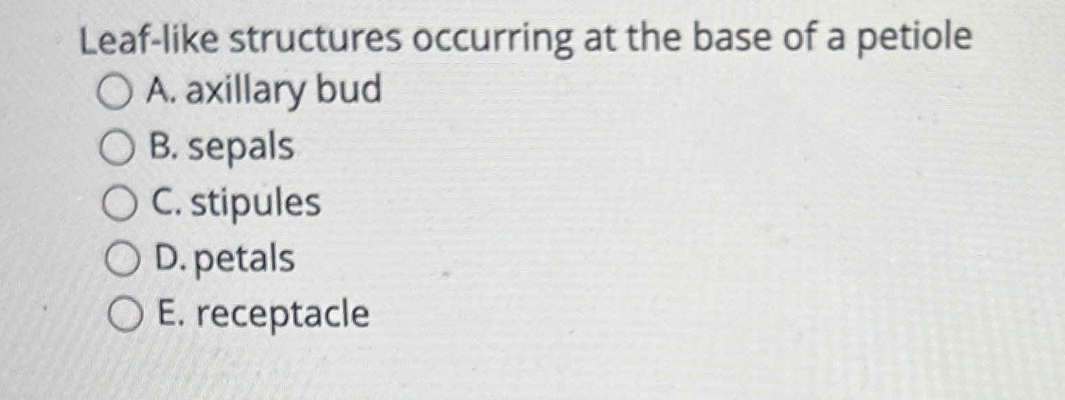 Solved Leaf-like structures occurring at the base of a | Chegg.com