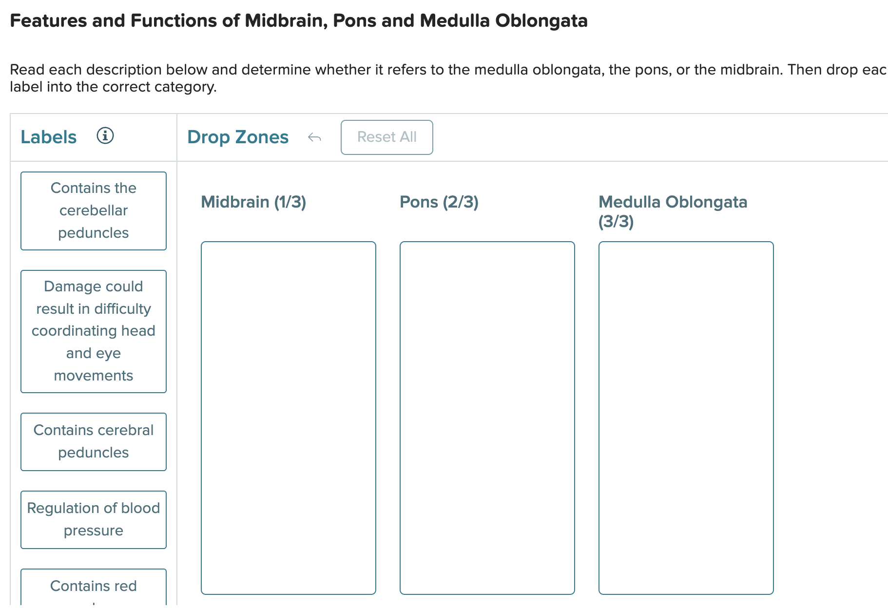 Solved Features and Functions of Midbrain, Pons and Medulla | Chegg.com