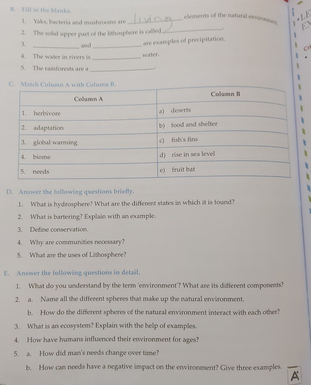 Solved B. ﻿Fill in the blanks.Yaks, bacteria and mushrooms | Chegg.com
