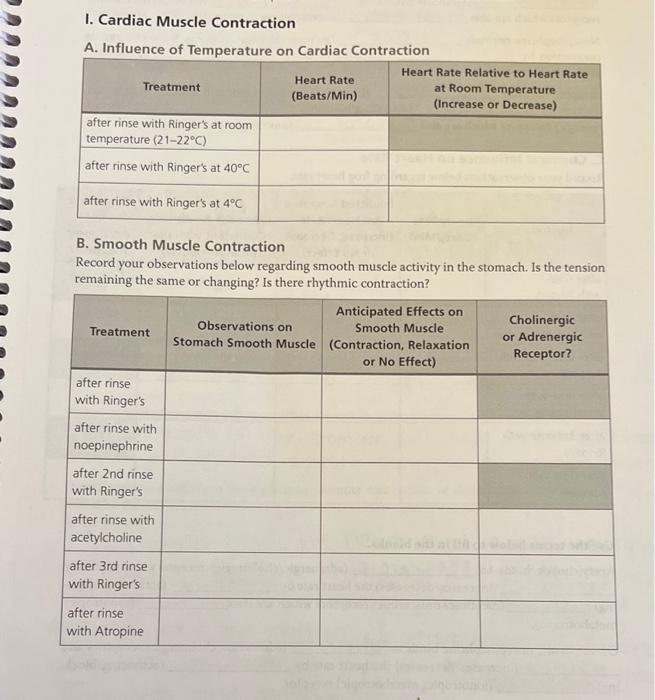 I. Cardiac Muscle Contraction A. Influence of | Chegg.com