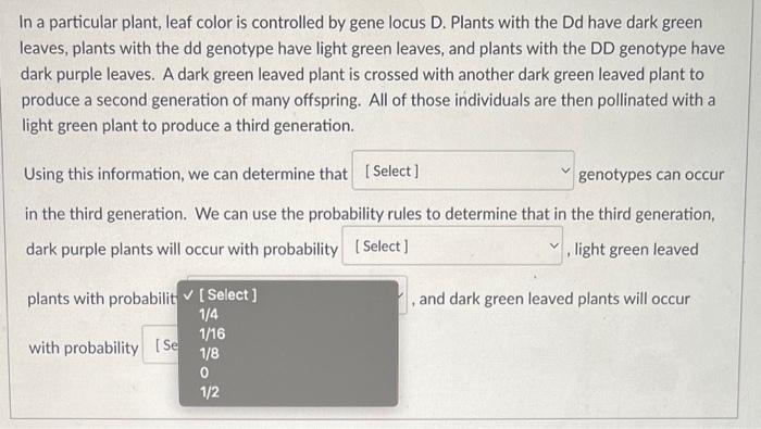 Solved In a particular plant, leaf color is controlled by | Chegg.com