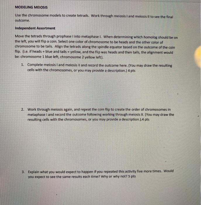 MODELING MEIOSIS Use the chromosome models to create | Chegg.com