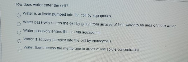 Solved How does water enter the cell? Water is actively | Chegg.com