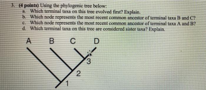 Solved a. 3. (4 points) Using the phylogenic tree below: | Chegg.com