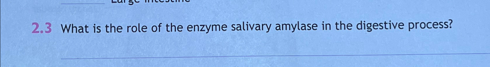 Solved 2.3 ﻿What is the role of the enzyme salivary amylase | Chegg.com