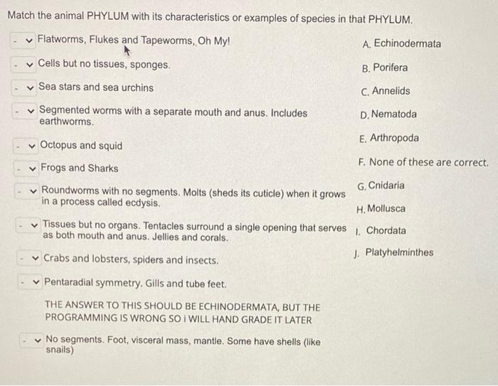 Solved Match the animal PHYLUM with its characteristics or | Chegg.com