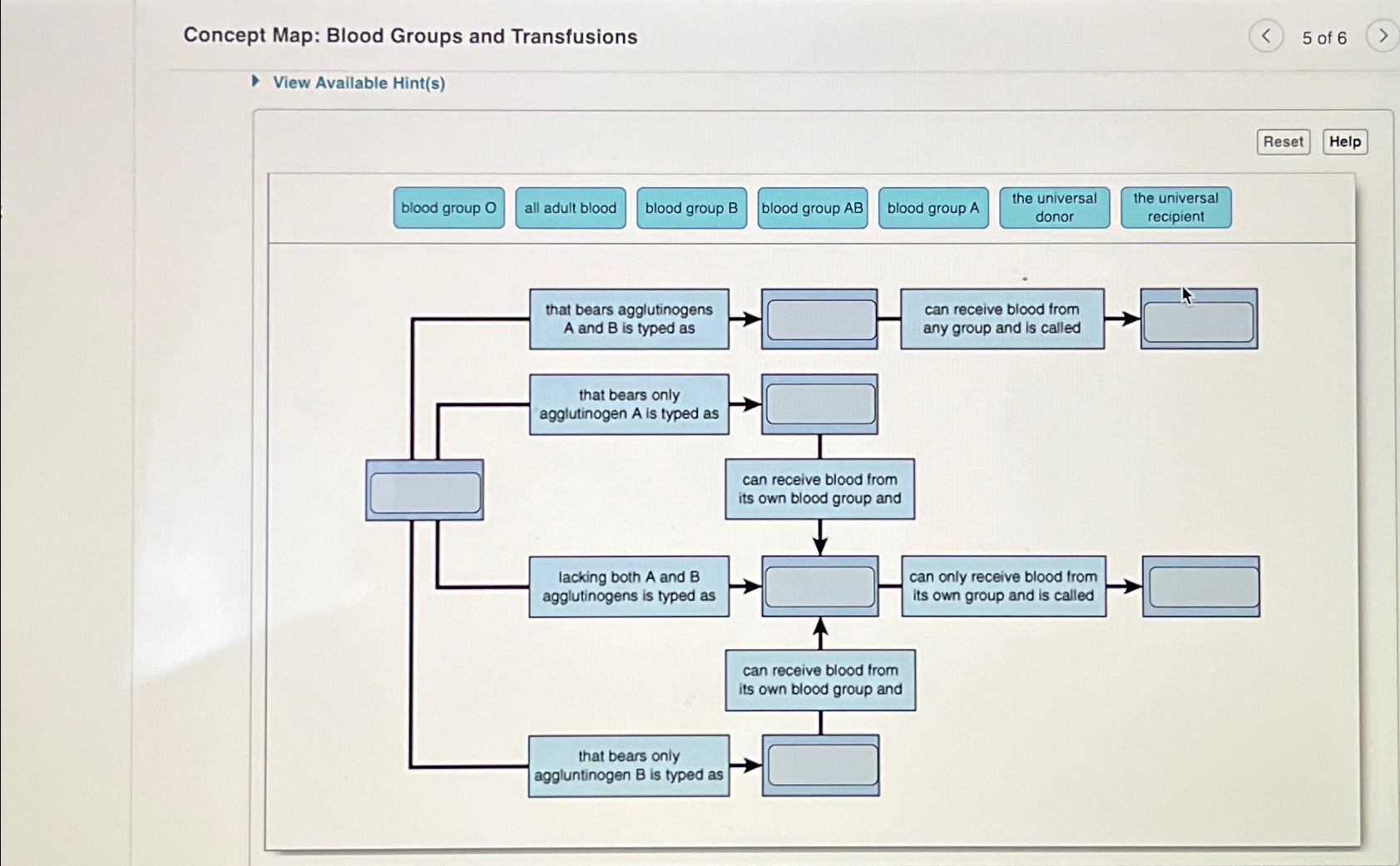 Solved Concept Map: Blood Groups and Transfusions5 ﻿of 6View | Chegg.com