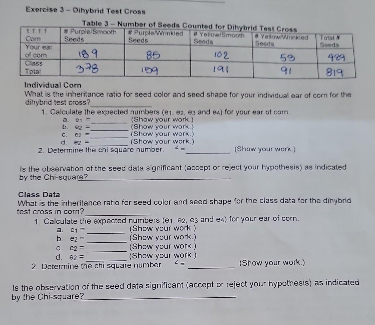 Solved Exercise 3-Dihybrid Test Cross Table 3 - Individual | Chegg.com