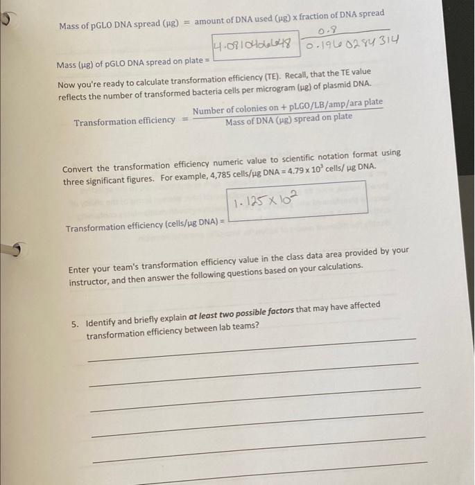 Solved of the GFP gene? Explain your answer. plays. The | Chegg.com