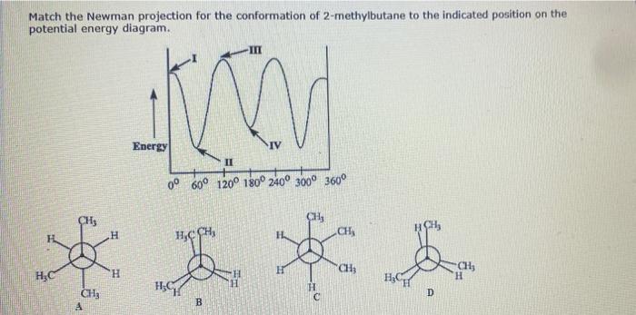 Solved Match the Newman projection for the conformation of | Chegg.com