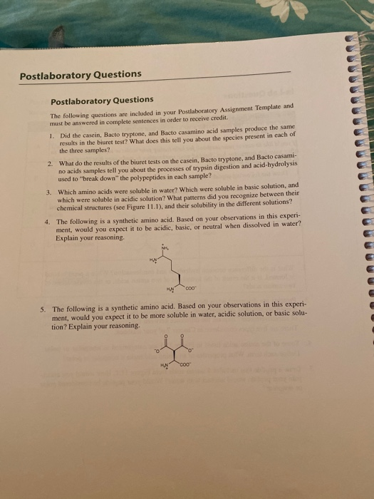 Solved Postlaboratory Questions Postlaboratory Questions The | Chegg.com