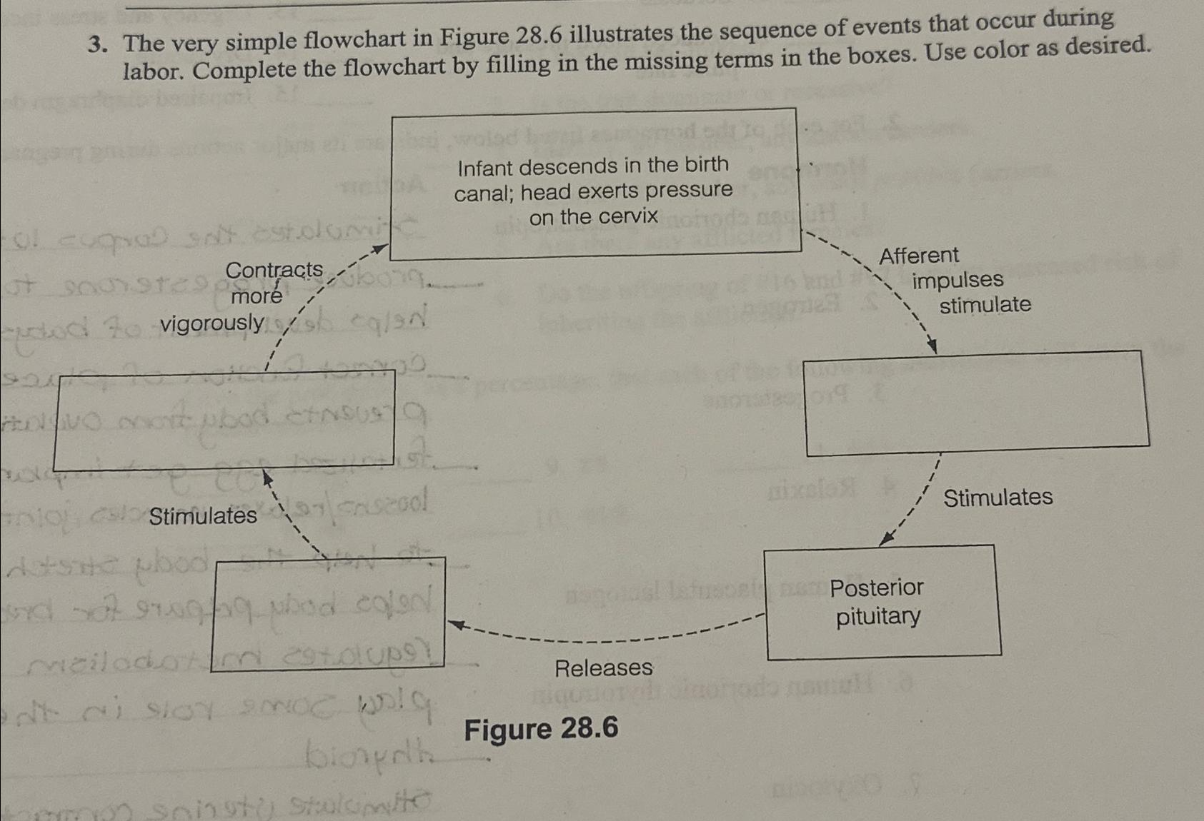 Solved The Very Simple Flowchart In Figure 28 6 ﻿illustrates
