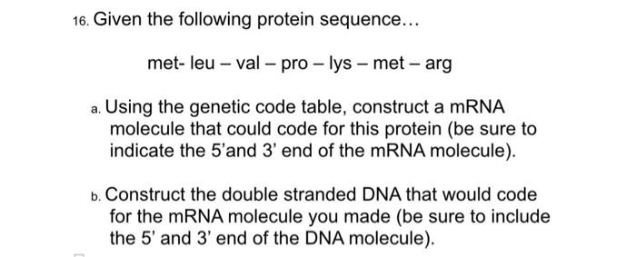 Solved 16. Given the following protein sequence... met- leu | Chegg.com