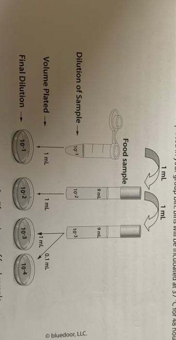 Solved How to calculate colony forming units (CFU) or | Chegg.com