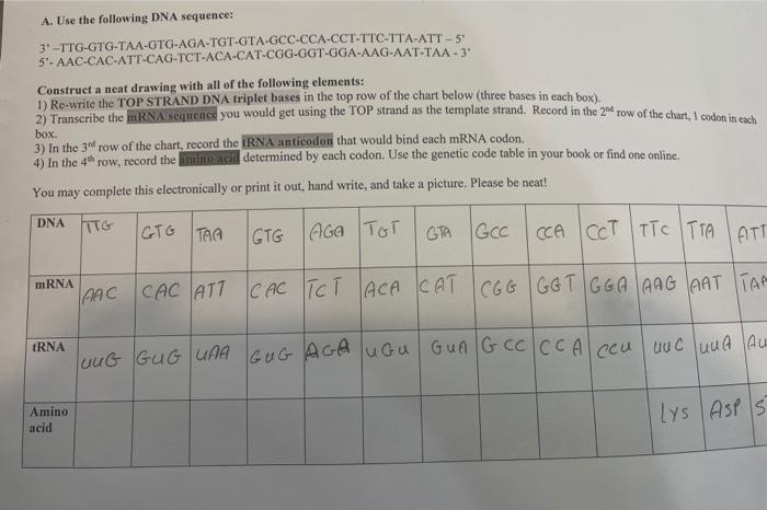 A. Use the following DNA sequence: | Chegg.com