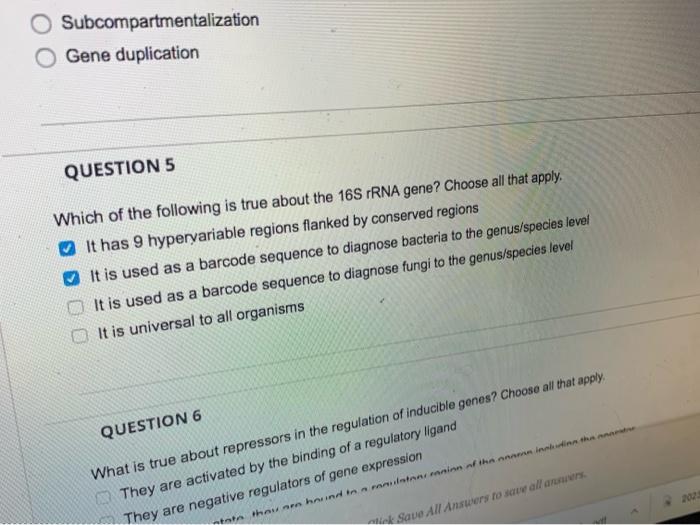Solved Subcompartmentalization Gene duplication QUESTION 5 | Chegg.com