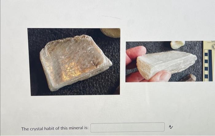 Solved The crystal habit of this mineral is: A | Chegg.com