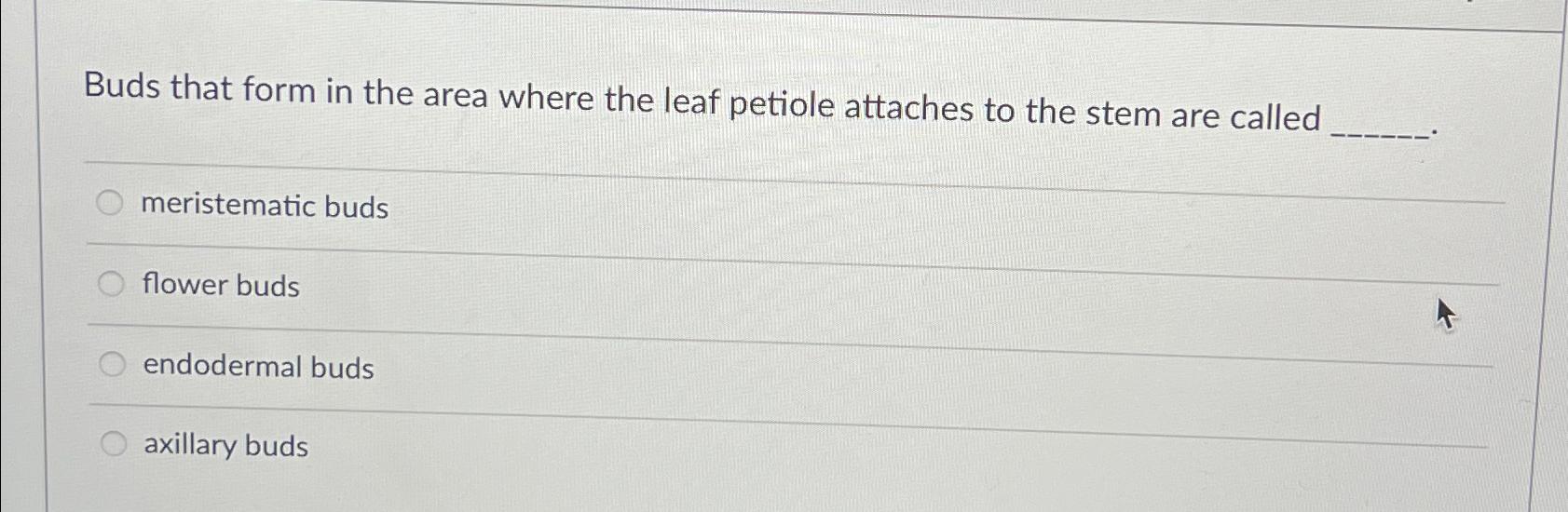Solved Buds that form in the area where the leaf petiole | Chegg.com