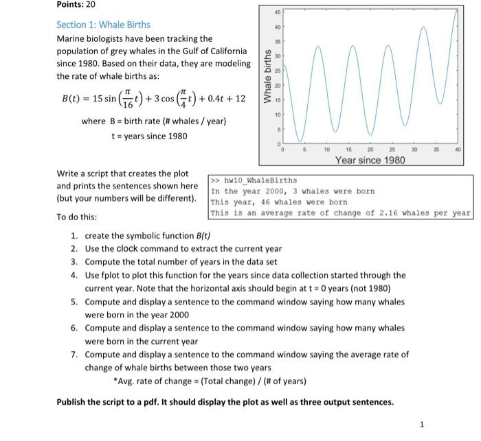 Solved Section 1: Whale Births Marine biologists have been | Chegg.com