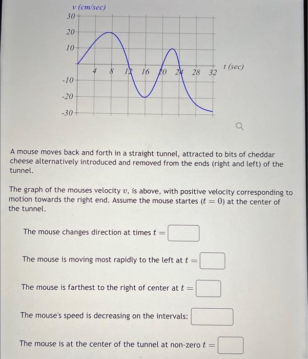 Solved A mouse moves back and forth in a straight tunnel, | Chegg.com