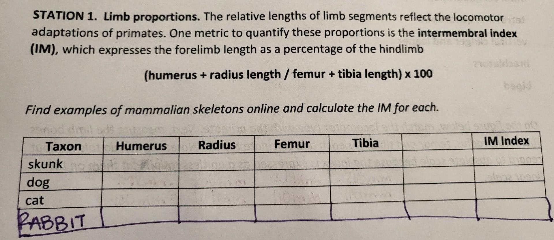 STATION 1. Limb proportions. The relative lengths of | Chegg.com