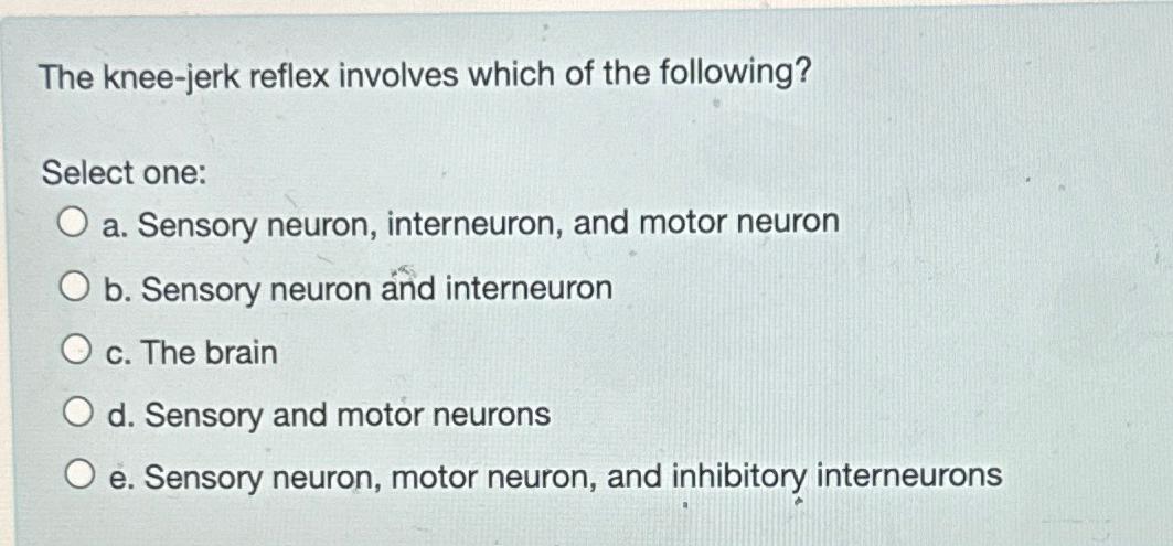 Solved The knee-jerk reflex involves which of the | Chegg.com